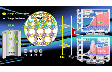 Chinese Journal of Structural Chemistry